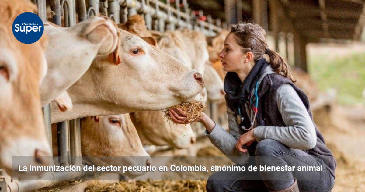 La inmunización del sector pecuario en Colombia, sinónimo de bienestar ...