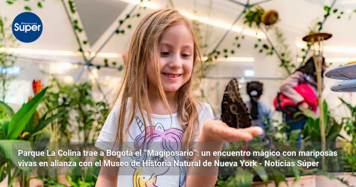 Parque La Colina trae a Bogotá el “Magiposario”: un encuentro mágico ...