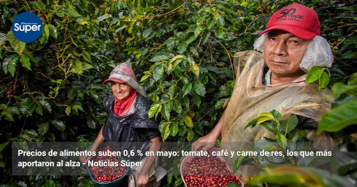 Precios de alimentos suben 0,6 % en mayo: tomate, café y carne de res ...